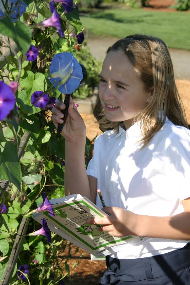 kkl – The Oregon Garden