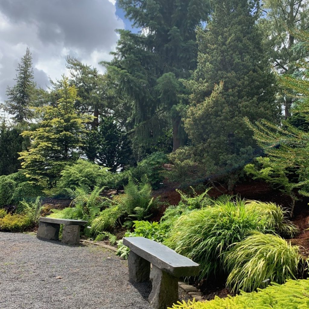 Memorial Programs - The Oregon Garden